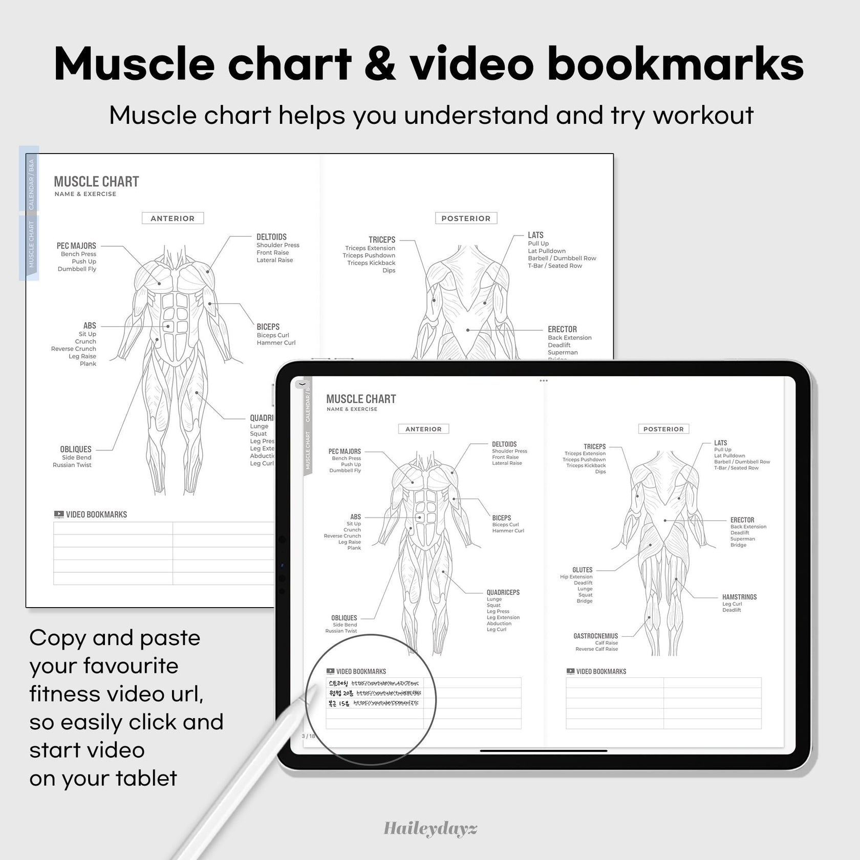 Haileydayz 헤일리데이즈